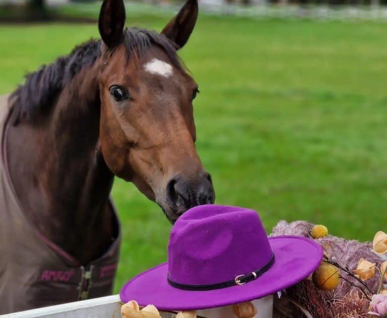 Gut Panker - Offizielle Webseite von Gut Panker in Schleswig-Holstein